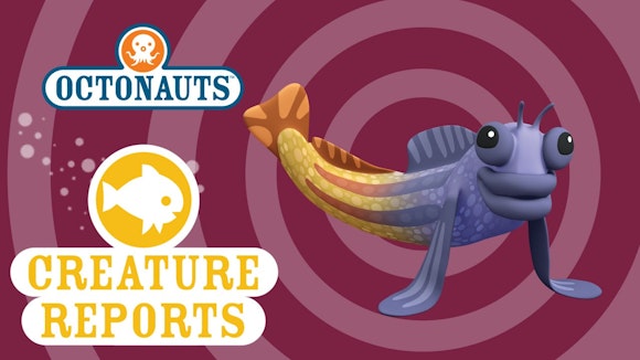 Octonauts: Creature Report - Blenny - Brown Bag Labs