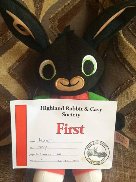 Bing Enters The Highland Rabbit Society #fanmail - Brown Bag Labs