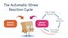 Changing the Stress Cycle! #StressAwarenessMonth - Brown Bag Labs