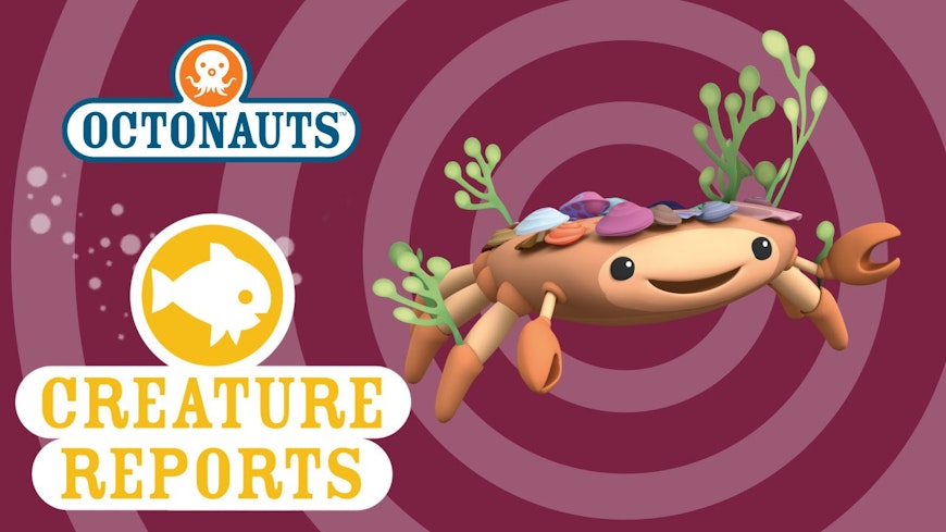 Octonauts: Creature Report - Decorator Crab - Brown Bag Labs