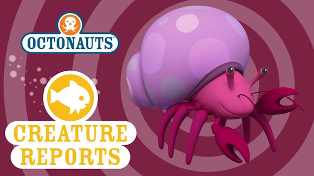 Octonauts: Creature Report - Hermit Crab - Brown Bag Labs