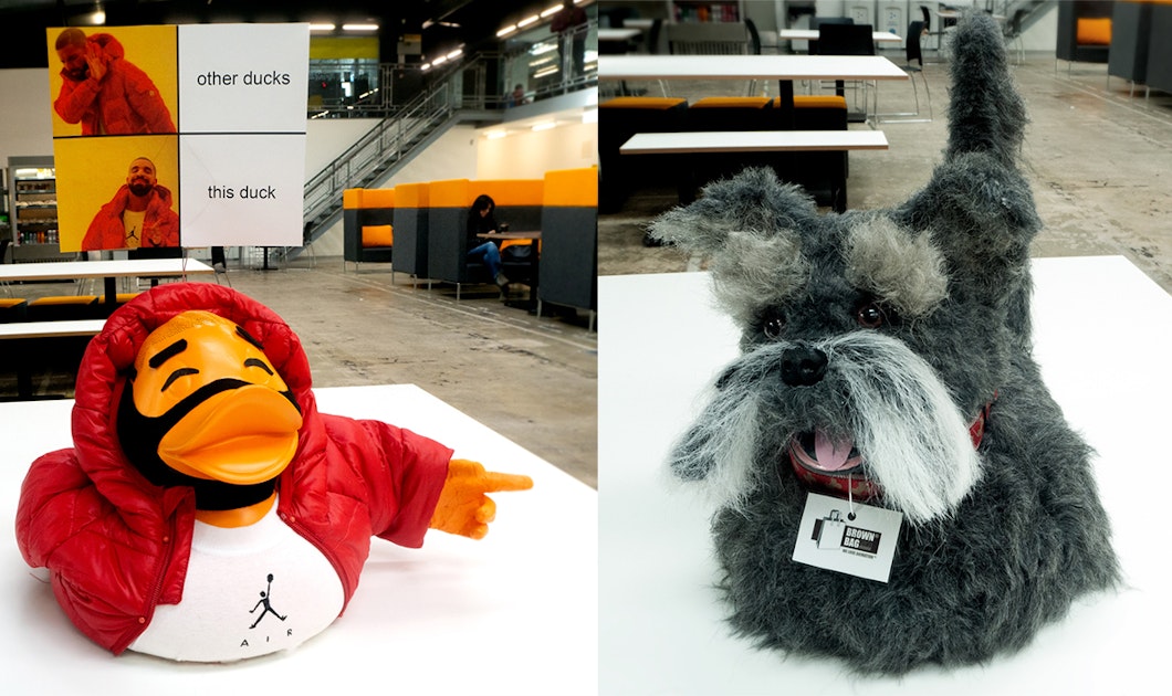 We’re Off to the Manchester Duck Race! - Brown Bag Labs