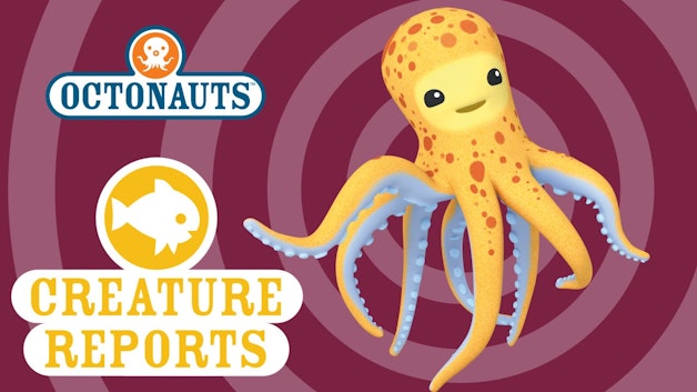 Octonauts: Creature Report - Octopus - Brown Bag Labs