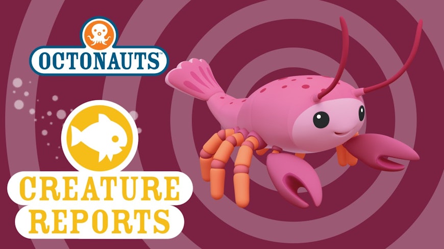 Octonauts: Creature Report - Reef Lobster - Brown Bag Labs