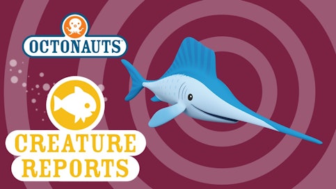 Octonauts: Creature Report - Sailfish - Brown Bag Labs