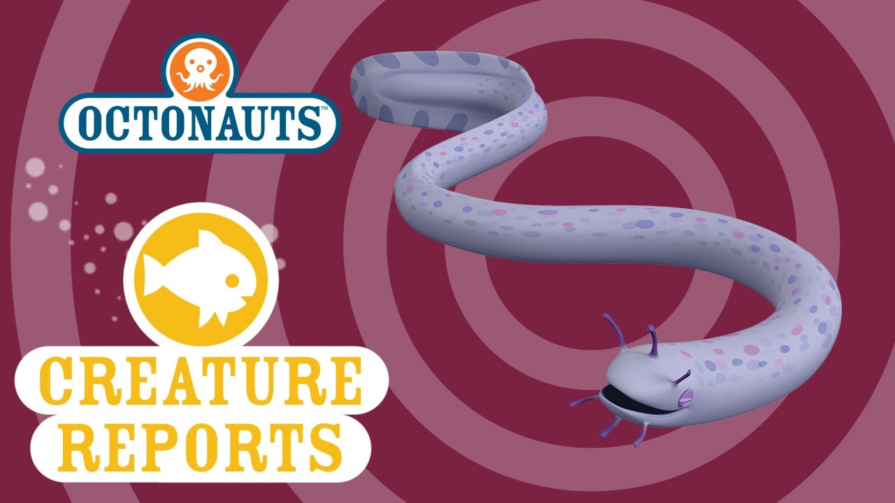 Octonauts: Creature Report - Slime Eel - Brown Bag Labs